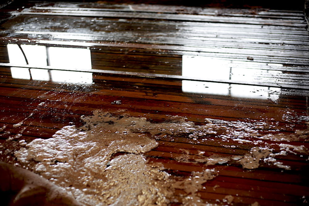 How cordovan is made, at Horween tannery, Chicago – Permanent Style